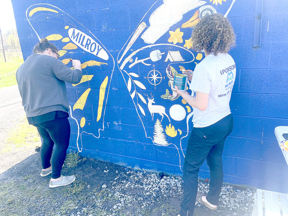 Chamber organization develops service project | News, Sports, Jobs ...